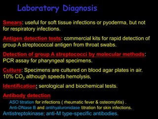 streptococci dr . ihsan alsaimary | PPT