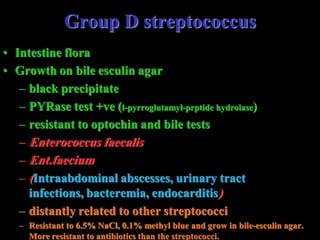 streptococci dr . ihsan alsaimary | PPT