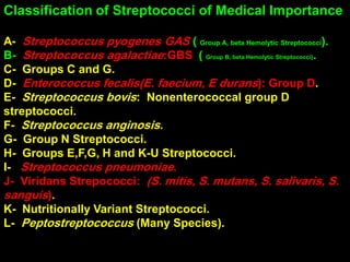 streptococci dr . ihsan alsaimary | PPT