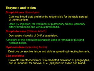 streptococci dr . ihsan alsaimary | PPT