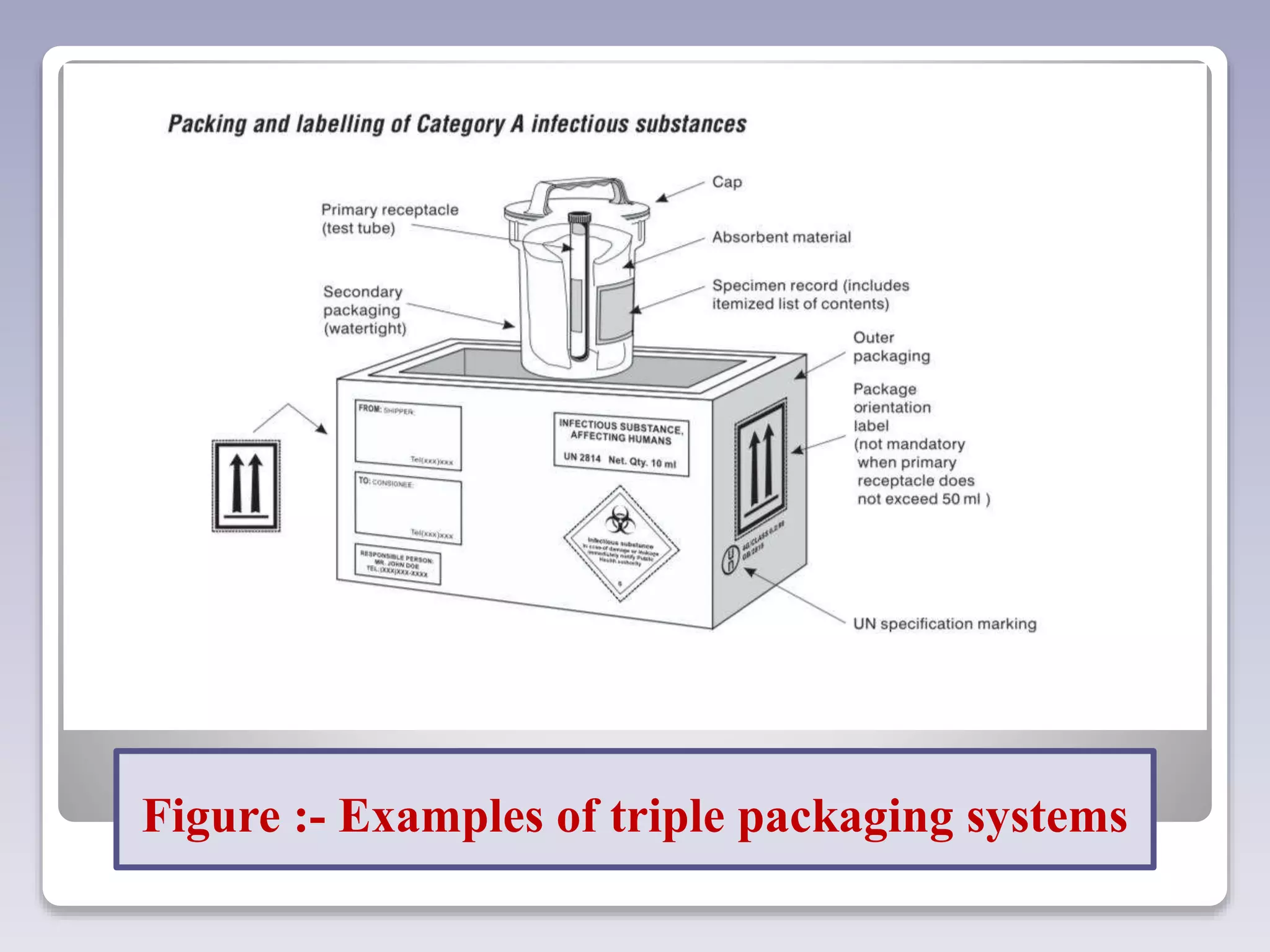 lecture 8.Transportation of biological materials | PPTX