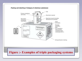 lecture 8.Transportation of biological materials | PPTX