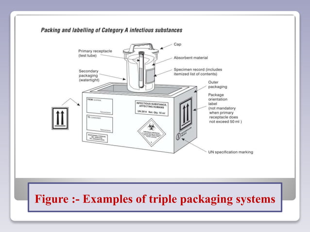 lecture 8.Transportation of biological materials | PPTX | Infectious ...