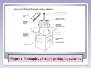 lecture 8.Transportation of biological materials | PPTX