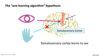 neural network non-linear hypothesis.pdf