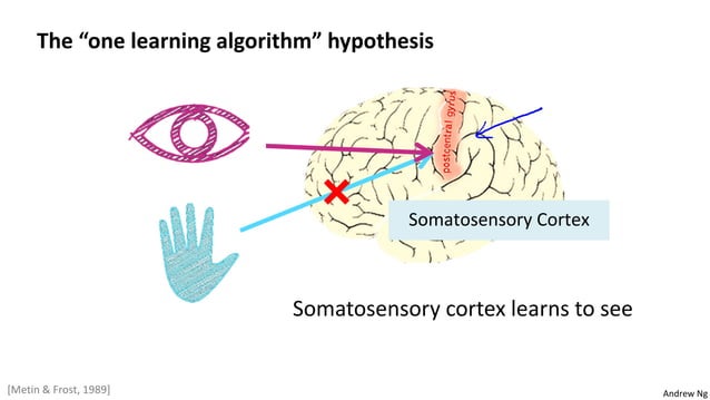 neural network non-linear hypothesis.pdf | Artificial Intelligence | Technology & Computing