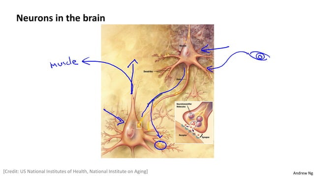 neural network non-linear hypothesis.pdf | Artificial Intelligence | Technology & Computing