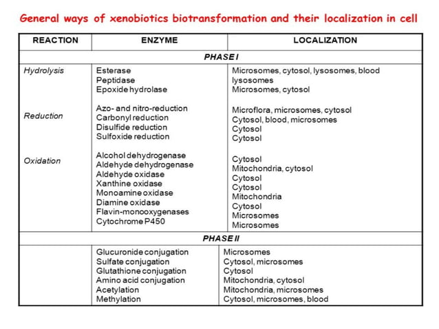 Lecture 8. biochemistry of liver.pptx