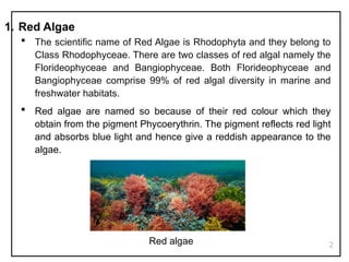 Lecture notes: Drugs Derived from Macro-algae | PPTX