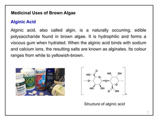 Lecture notes: Drugs Derived from Macro-algae | PPTX