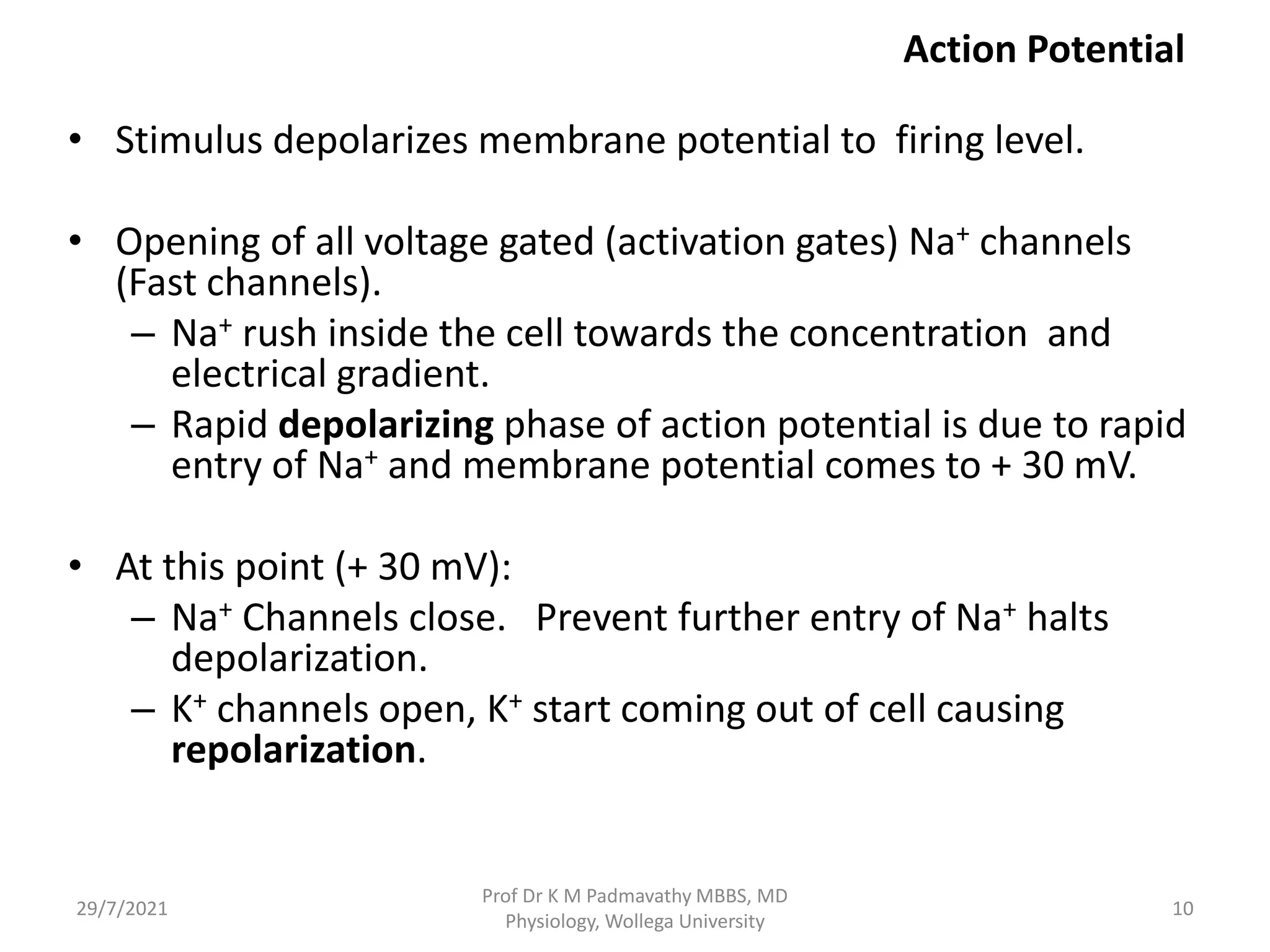 Lecture 8 - Action potential.pdf