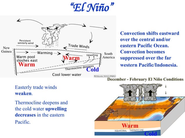Lecture 8 el nino, la nina, and their connection with hong kong climate ...