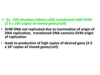 Lecture 8 genetic engineering of animal cells | PPT