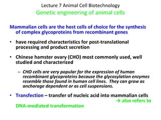 Lecture 8 genetic engineering of animal cells | PPT