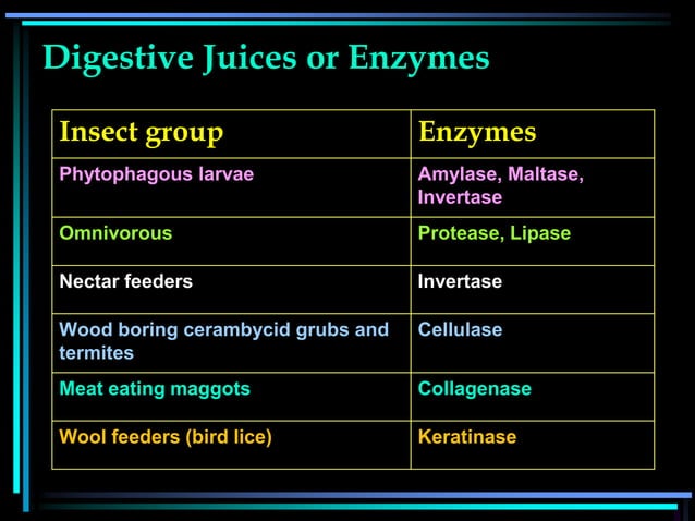 Lecture 8-Insect digestive system, modification, physiology of ...