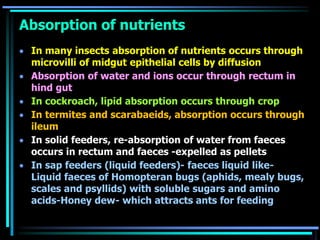 Lecture 8-Insect digestive system, modification, physiology of ...