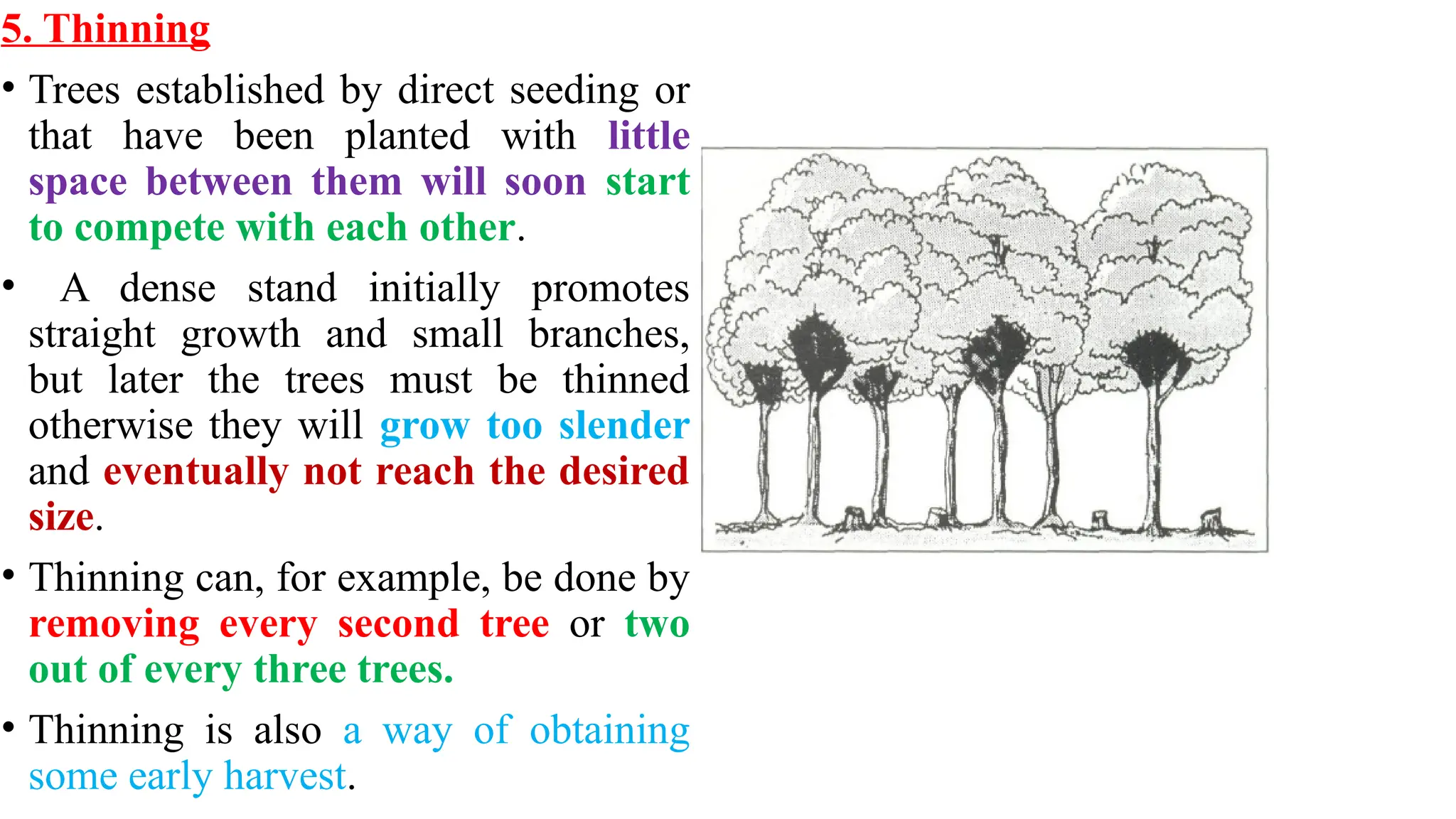 Lecture 8-Management of trees in Agroforestry system.pptx