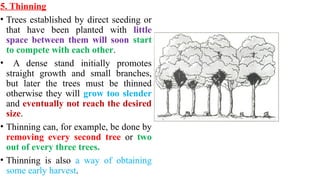 Lecture 8-Management of trees in Agroforestry system.pptx