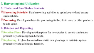 Lecture 8-Management of trees in Agroforestry system.pptx