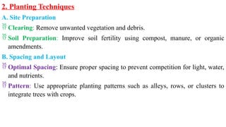 Lecture 8-Management of trees in Agroforestry system.pptx