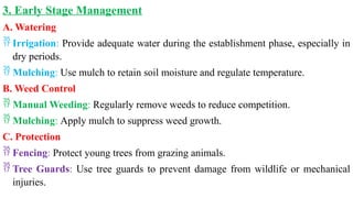 Lecture 8-Management of trees in Agroforestry system.pptx