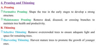 Lecture 8-Management of trees in Agroforestry system.pptx