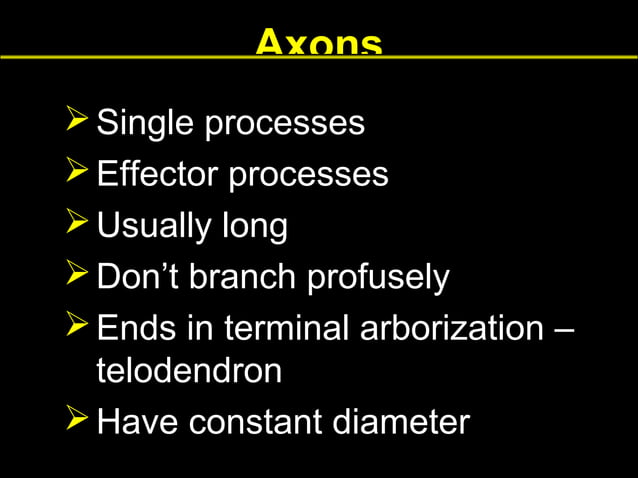 Lecture8 nervous system | PPT | Brain and Nervous System Disorders | Diseases and Conditions