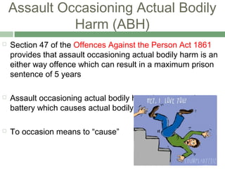 Lecture 8 non fatal offences | PPT