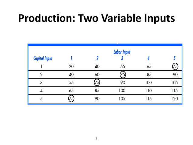 Lecture 8 production, optimal inputs | PPT