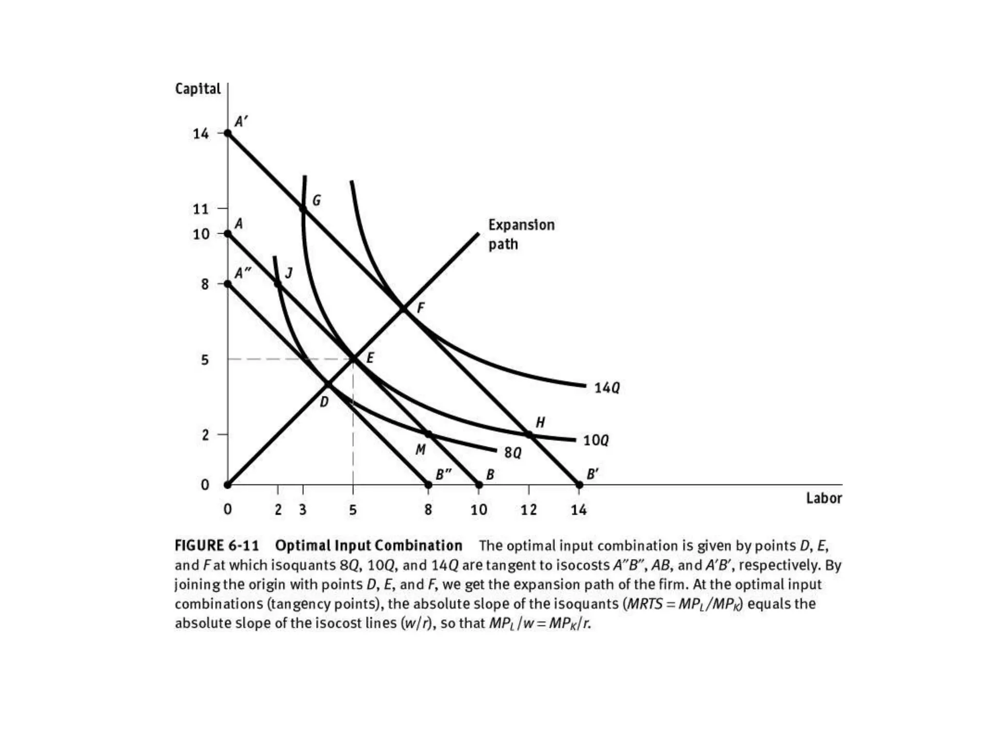Lecture 8 production, optimal inputs (1) | PPTX