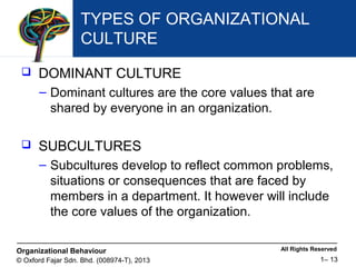 PD Lecture 8 social system culture | PPT