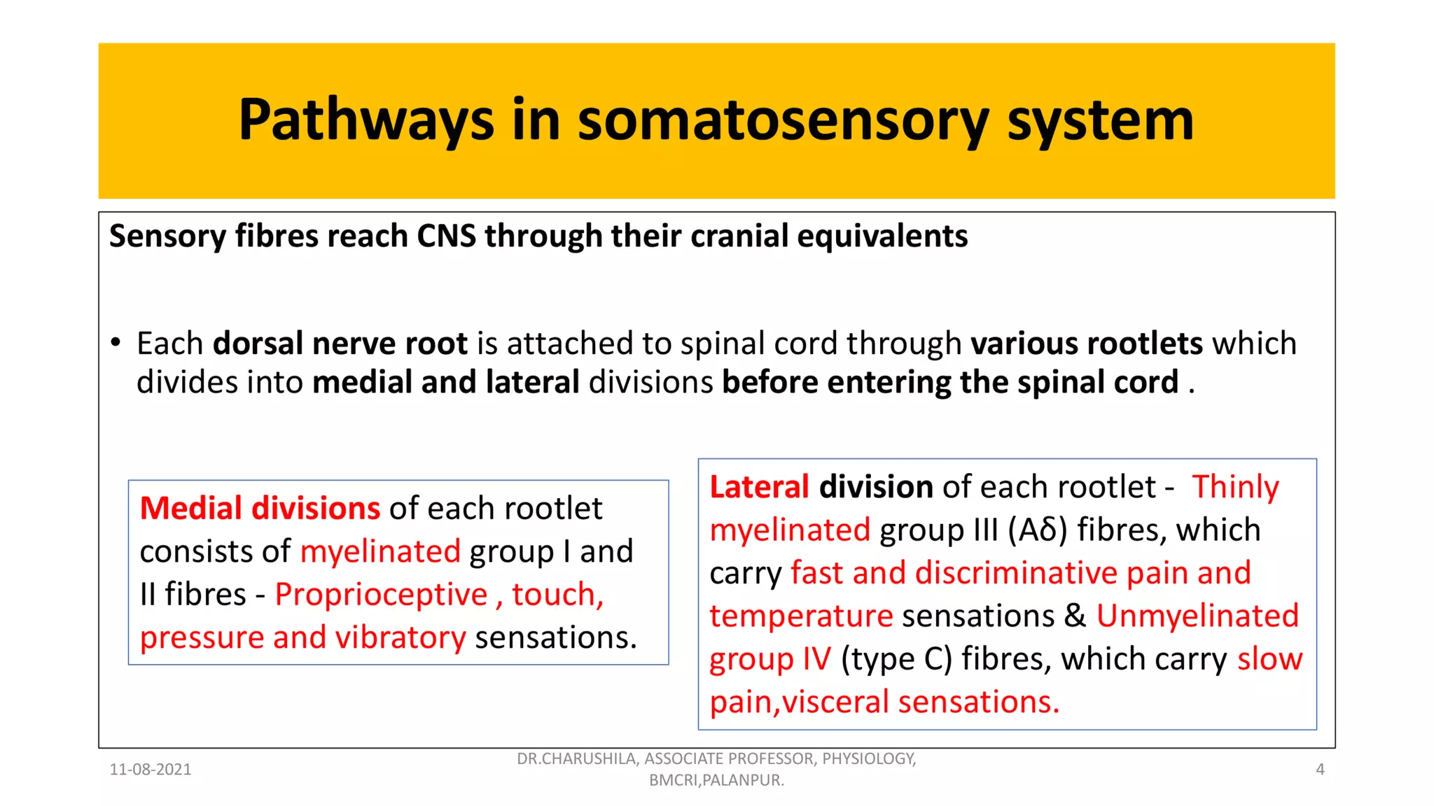 Ascending tracts- Central Nervous System | PDF