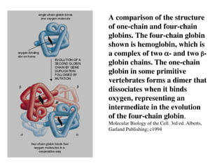 Protein structure, types, functions, etc.ppt