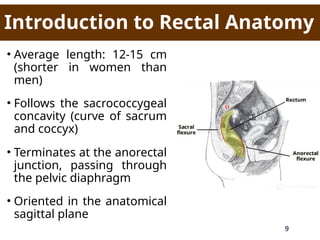 Anatomy of Rectum and Anal Canal for medical students.pptx
