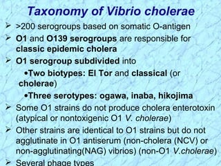 Bordetella and vibrio | PPT
