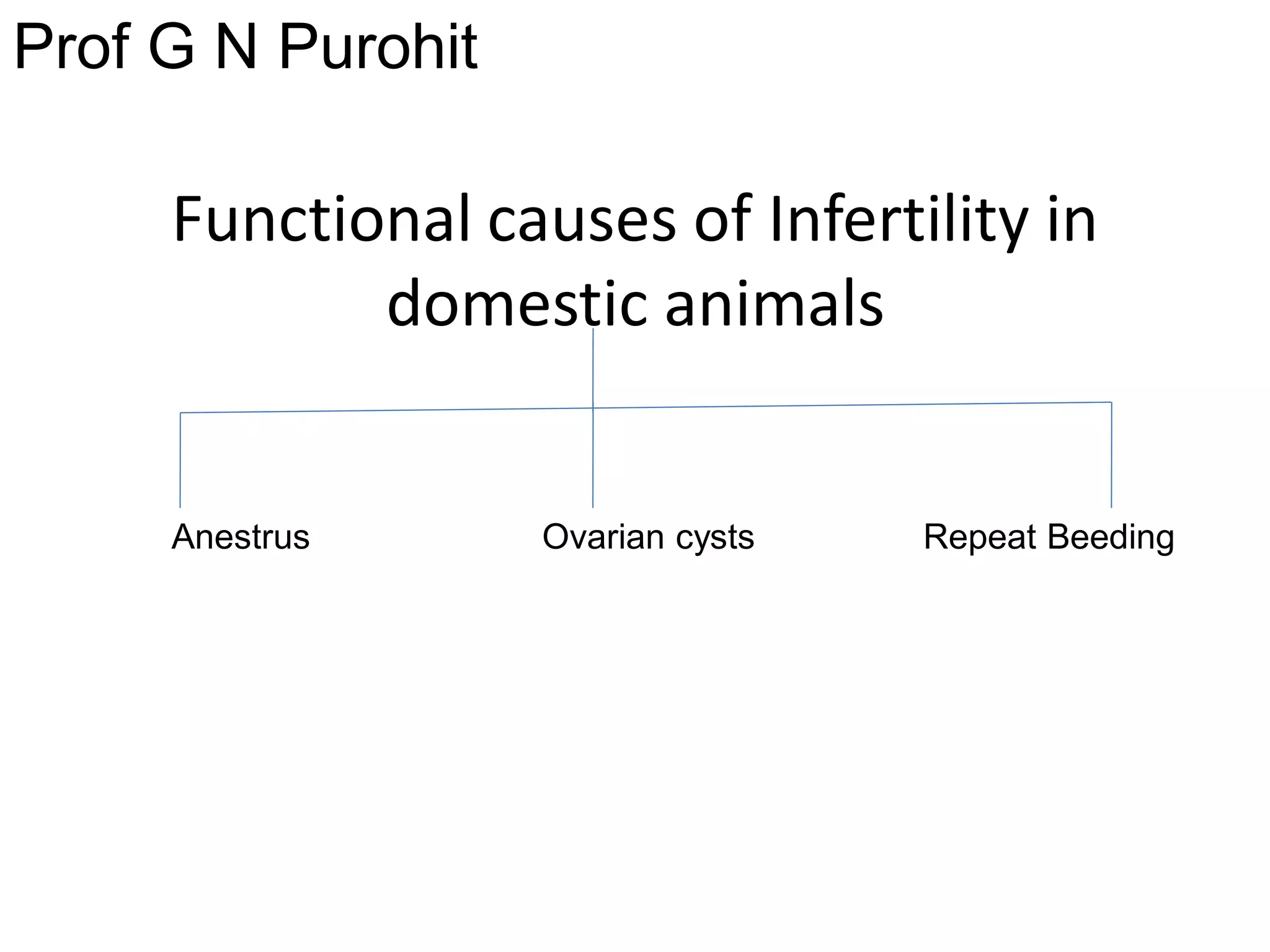 Lecture 8 anestrus in domestic animals | PDF