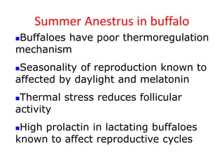 Lecture 8 anestrus in domestic animals | PDF