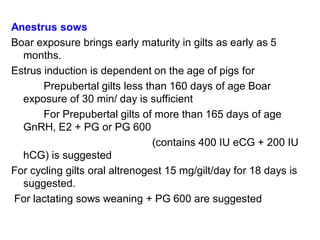 Lecture 8 anestrus in domestic animals | PDF
