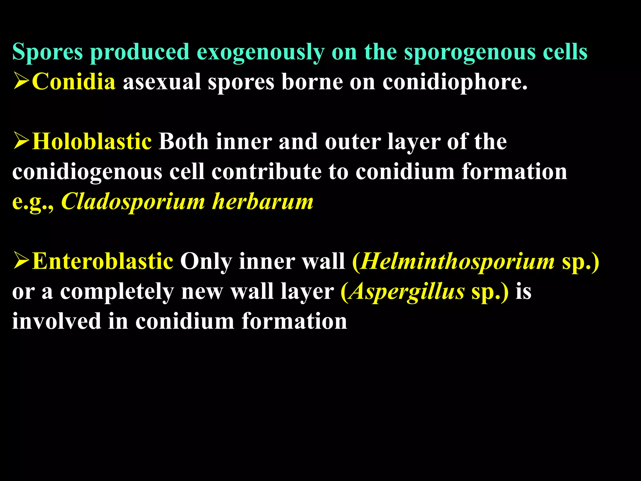 Lecture 8 Asexual reproduction in fungi.pptx