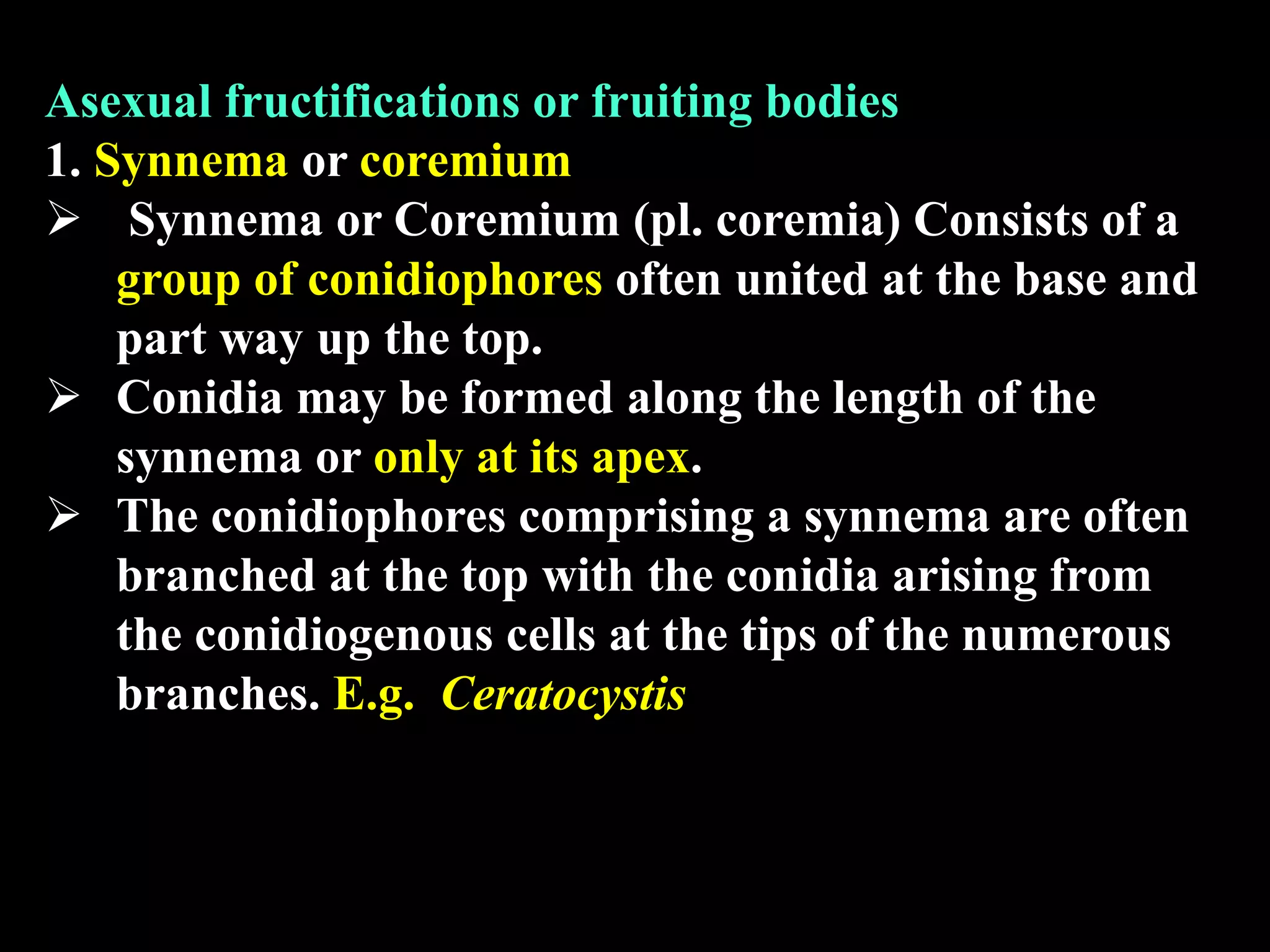 Lecture 8 Asexual reproduction in fungi.pptx