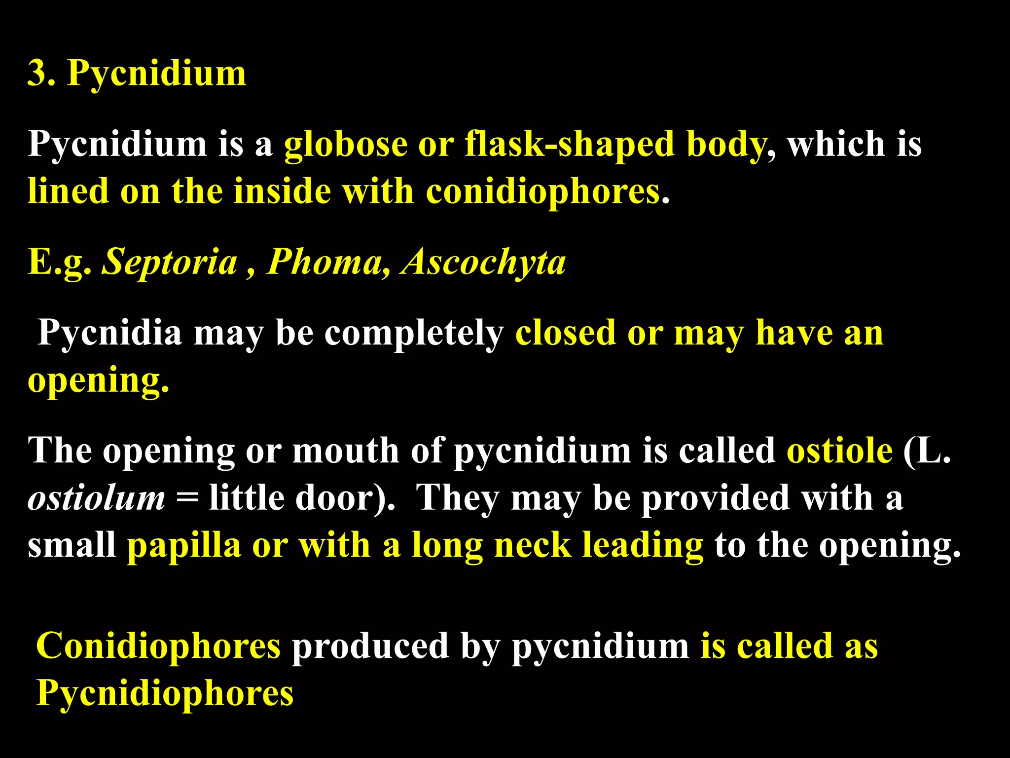 Lecture 8 Asexual reproduction in fungi.pptx