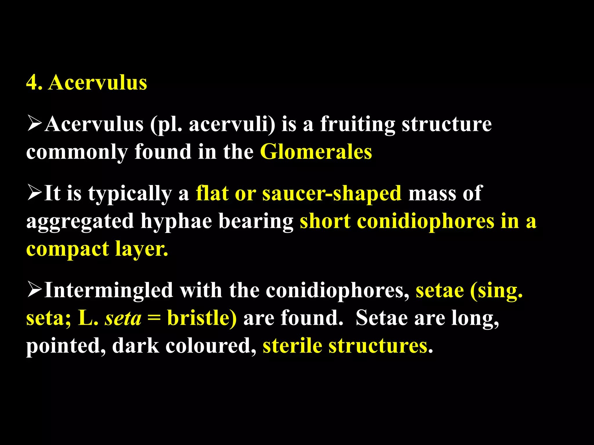 Lecture 8 Asexual reproduction in fungi.pptx