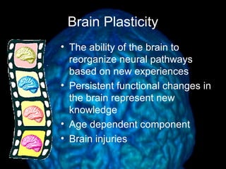 Lecture 8 brain structure | PPT