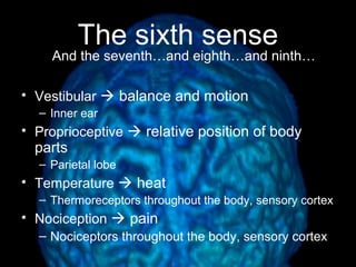 Lecture 8 brain structure | PPT
