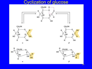 Lecture8 carbohydrates | PPT