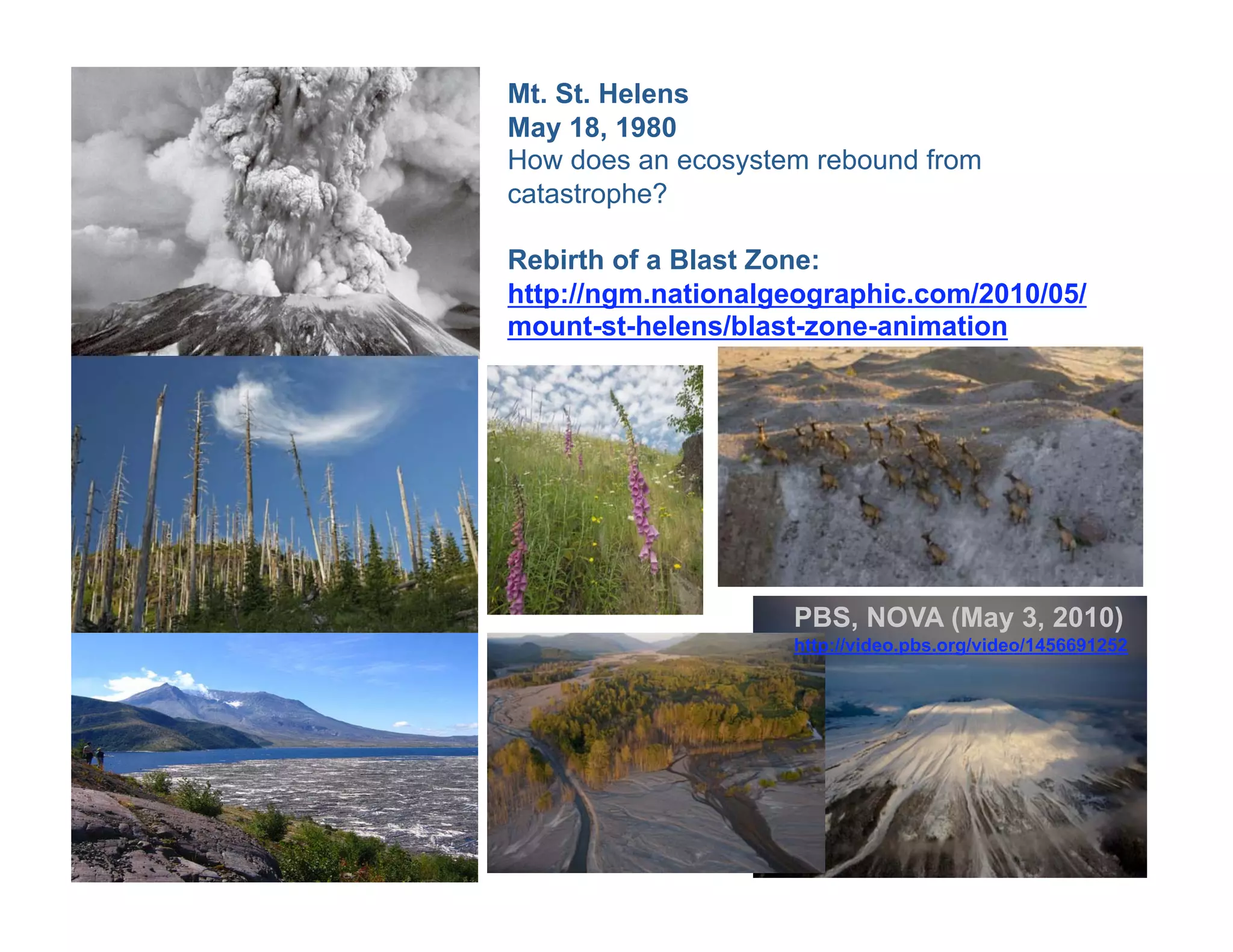 Lecture 8 ecosystem development | PDF