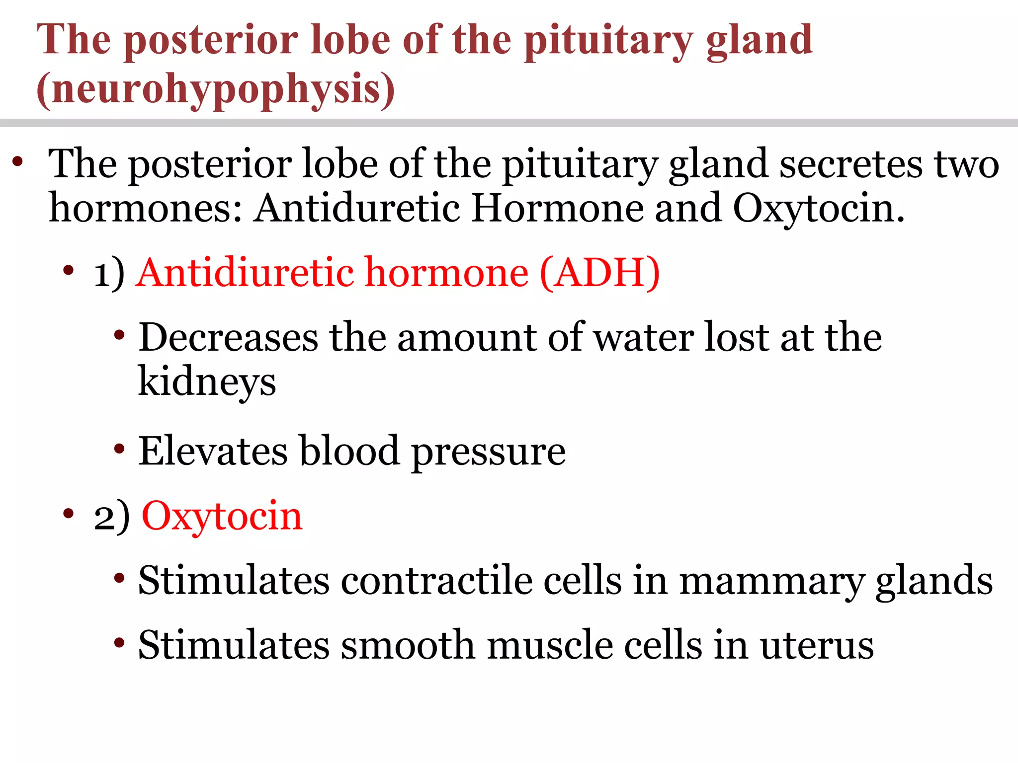 Lecture 8 endocrine_system | PPT