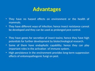 Entomopathogenic Fungi in Sustainable Pest Management: Biology ...
