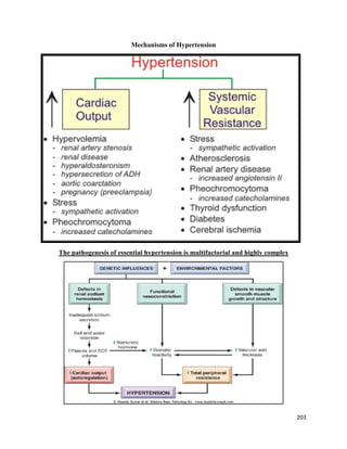 Lecture 8 hypertension - Pathology | PDF