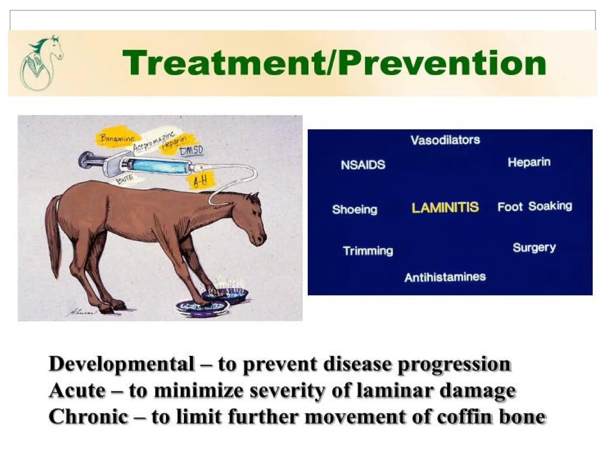 lecture 8 Laminitis, monday morning sickness.pptx